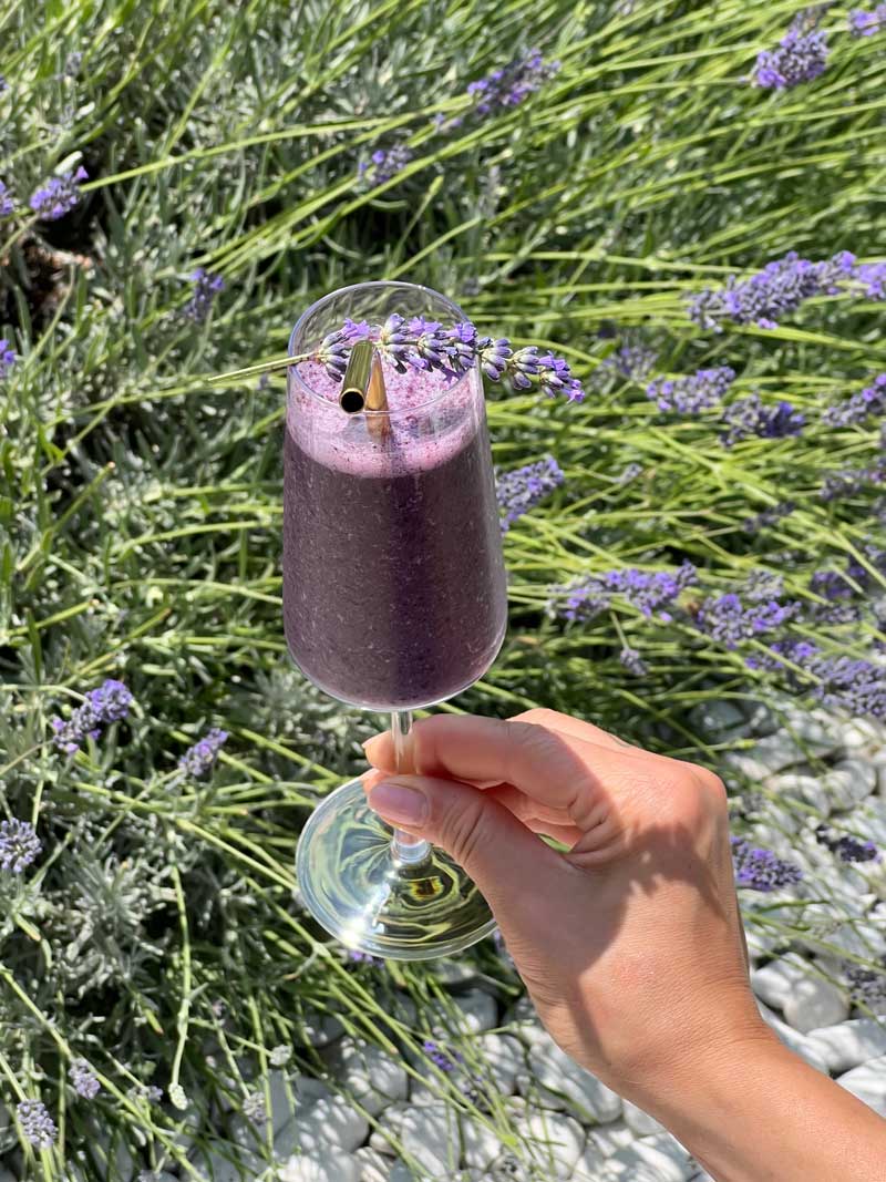 Lavander blue - Irina Brajčić